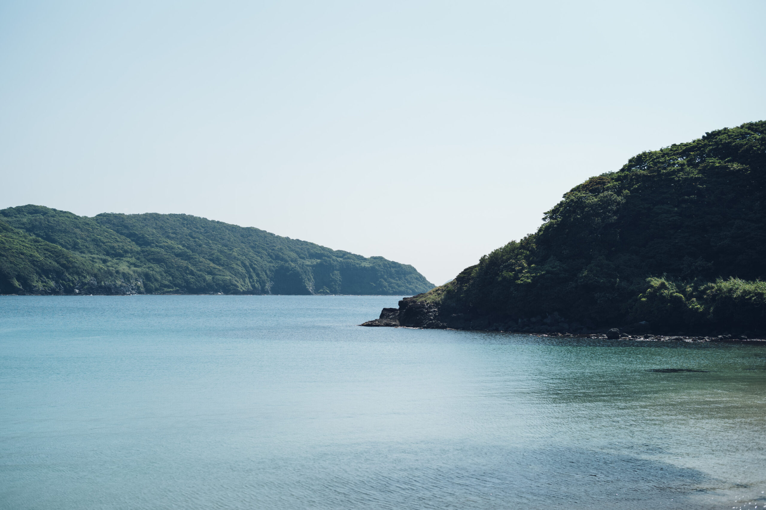 Journal | Kikka Hirado